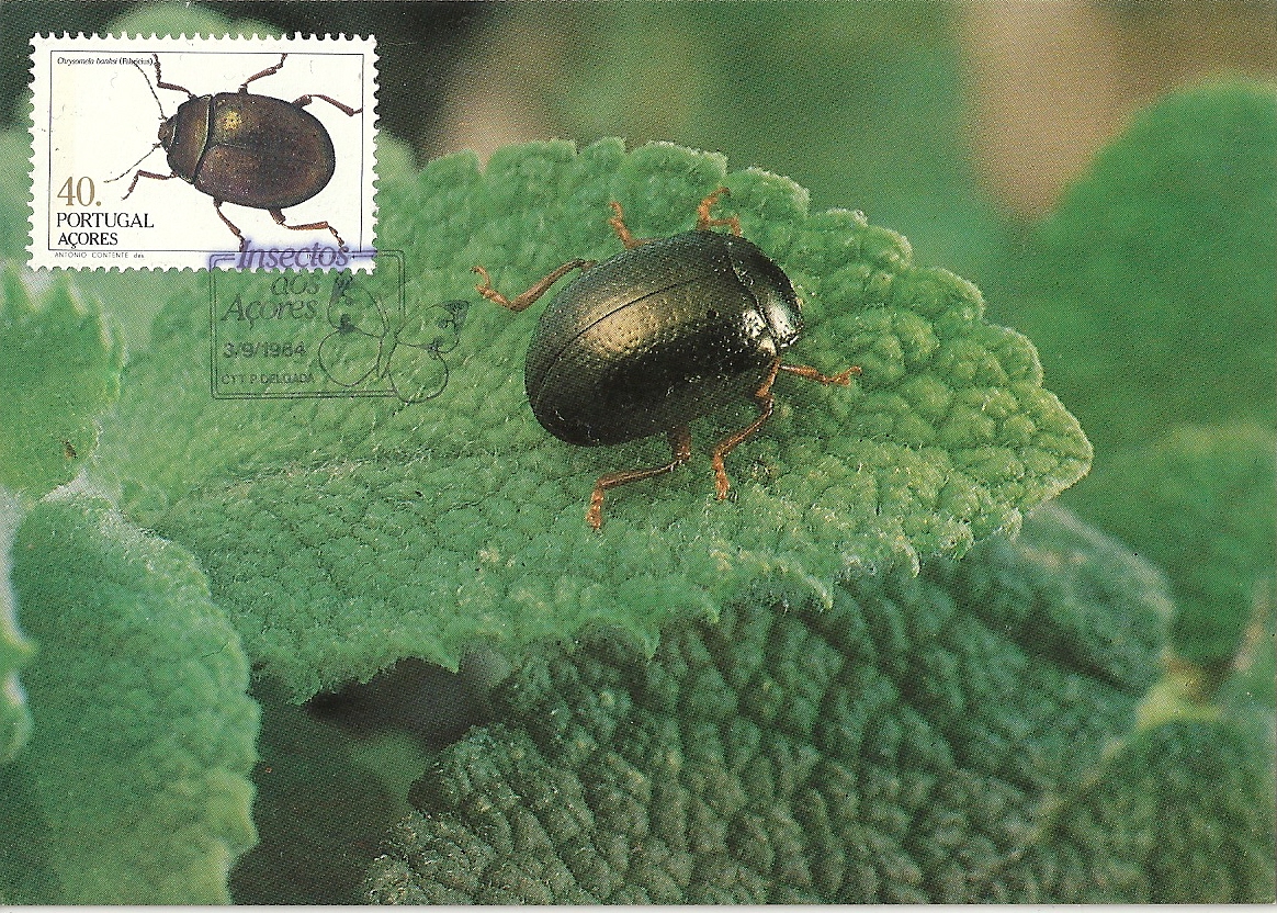 Rui Nogueira Stamps: PORTUGAL - Insects Azores (1st Group)