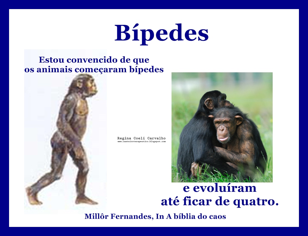 Canteiro terapêutico: Bípedes...