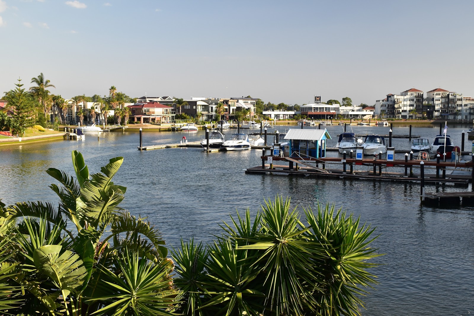 Goin' Feral One Day At A Time: Patterson River - February 2019