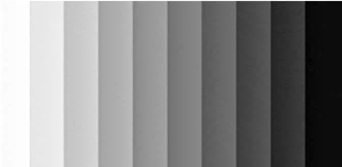 sarahs interactive media