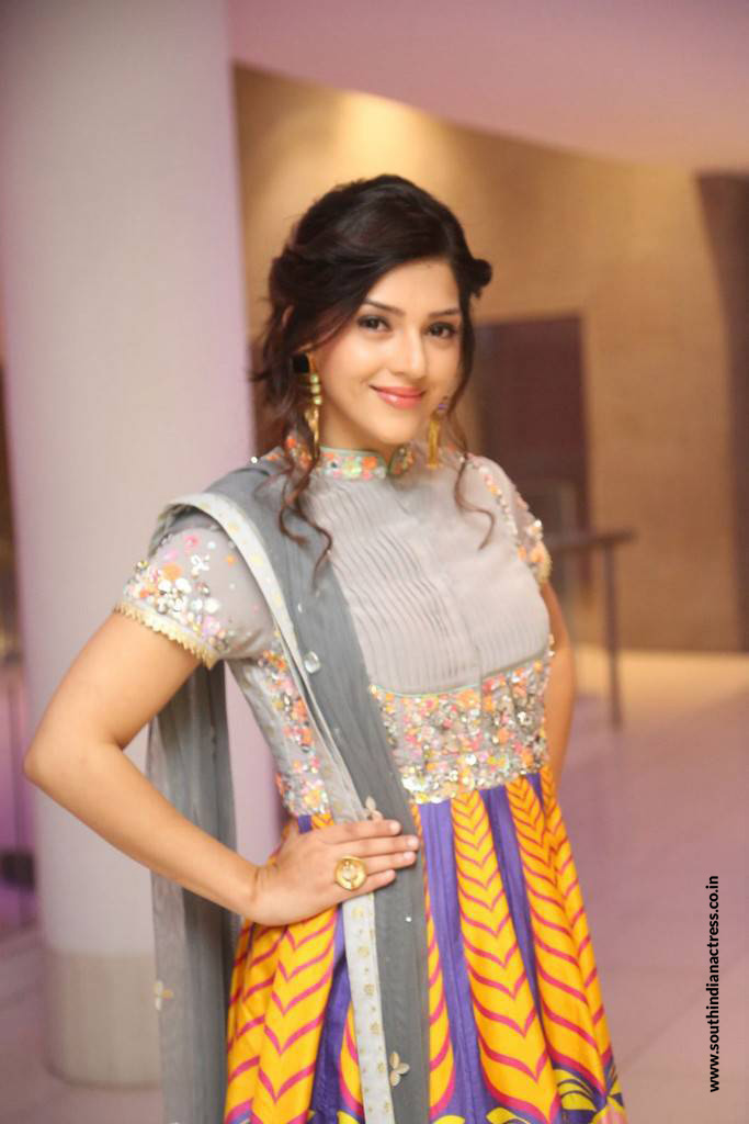 Mehreen Pirzada at Raja At The Great Success Meet - South Indian Actress