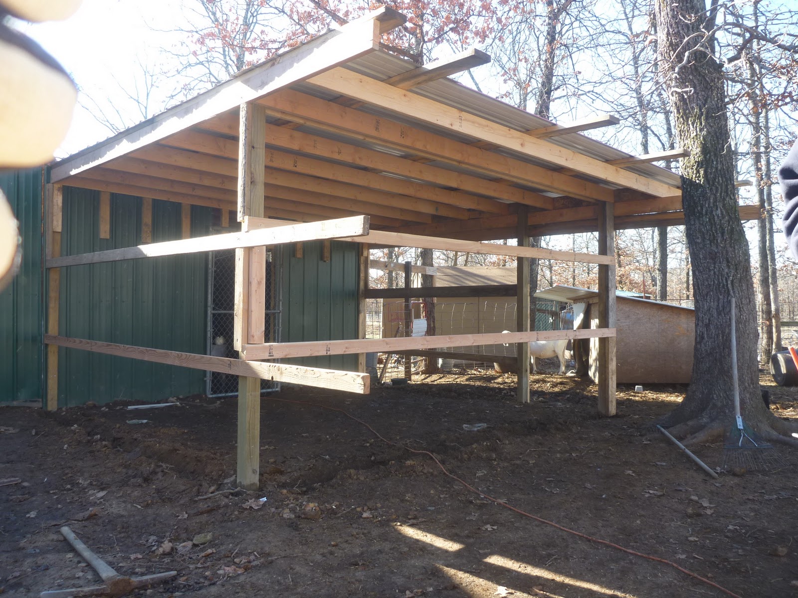 Seven Acre Ranch: Finished Loafing Shed