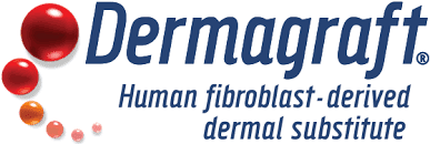 LA PELLE ARTIFICIALE: [T] Le industrie della cosa artificiale