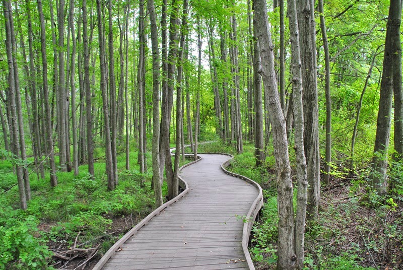Southeastern PA Hiking: Churchville Nature Center