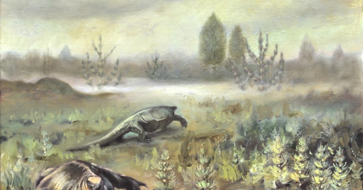 Geologia a Pavia: Scoperto il primo sinapside basale italiano