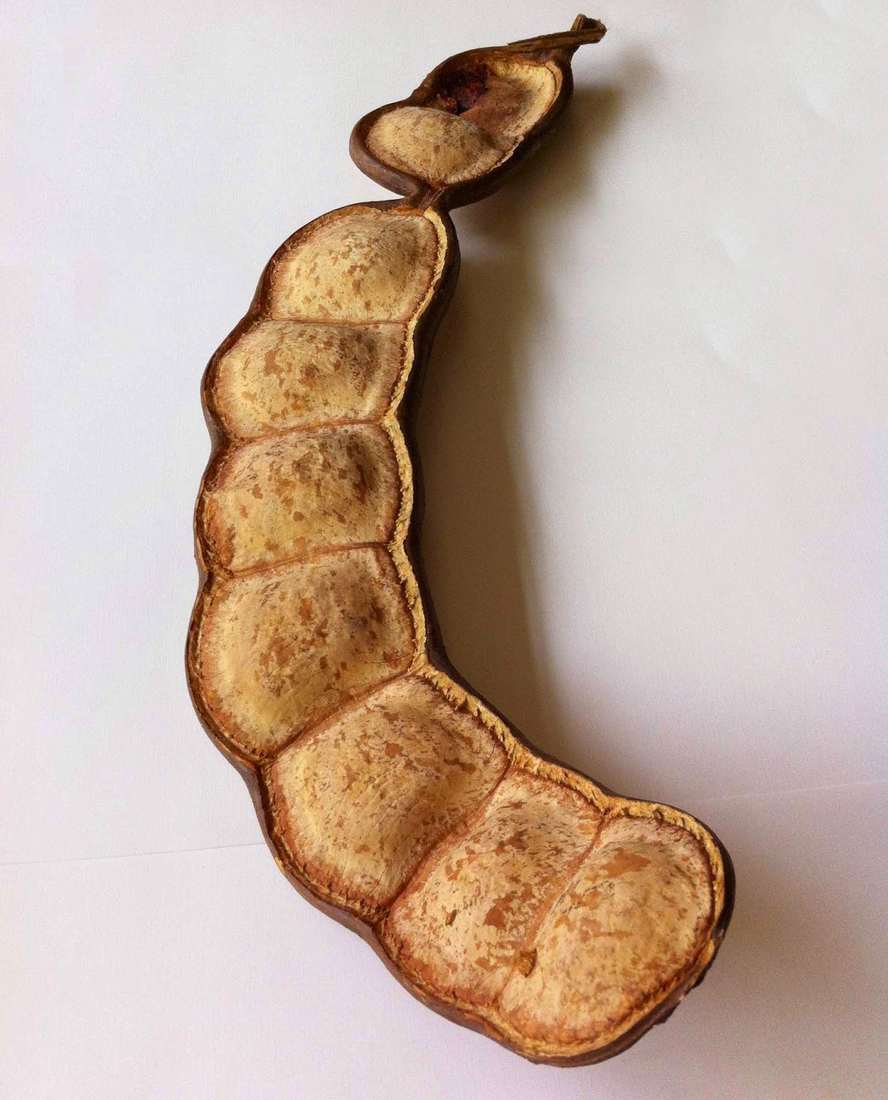 Vintage/Antique Native S. Thailand Hand-Made fish trap: ENTADA RHEEDII ...