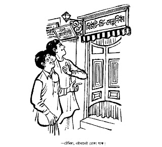 Tenida Treasury: Narayan Gangopadhyayer Haashir Gawlpa [Book]