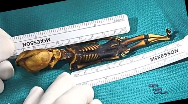 The Pocomoke Public Eye: Alien-looking Skeleton From Chile Poses a ...