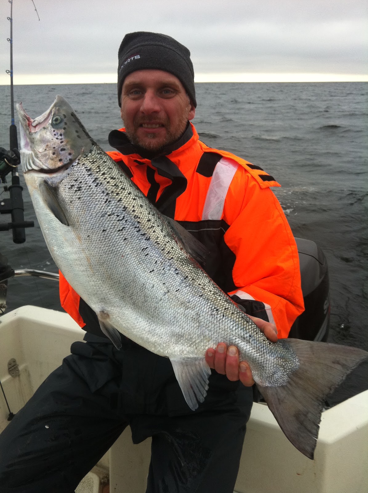 Norway Biggest Atlantic Cod Ever Caught