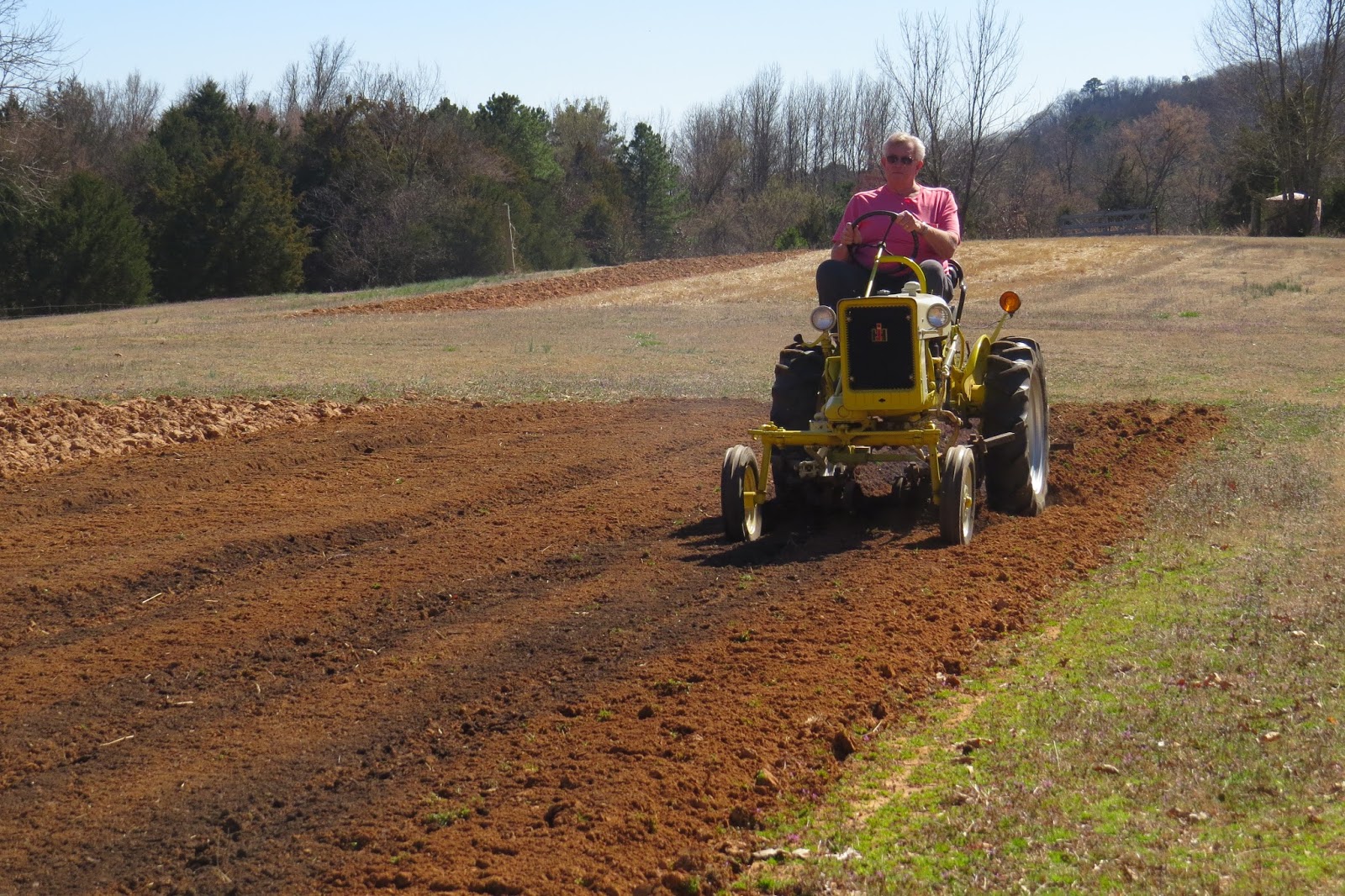 Farmall Cub Hub: Yellow Cub Laying Off Equal Rows Farmall Cub Hub: Yellow Cub Laying Off Equal Rows