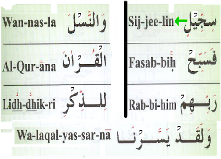 Learn Tajweed and Quraan Free: Example Of Step 8 Tashdeed