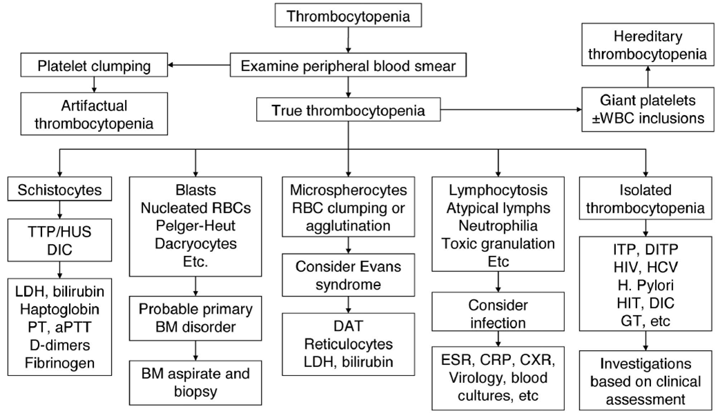 ASK DIS: Drug Induced Thrombocytopenia