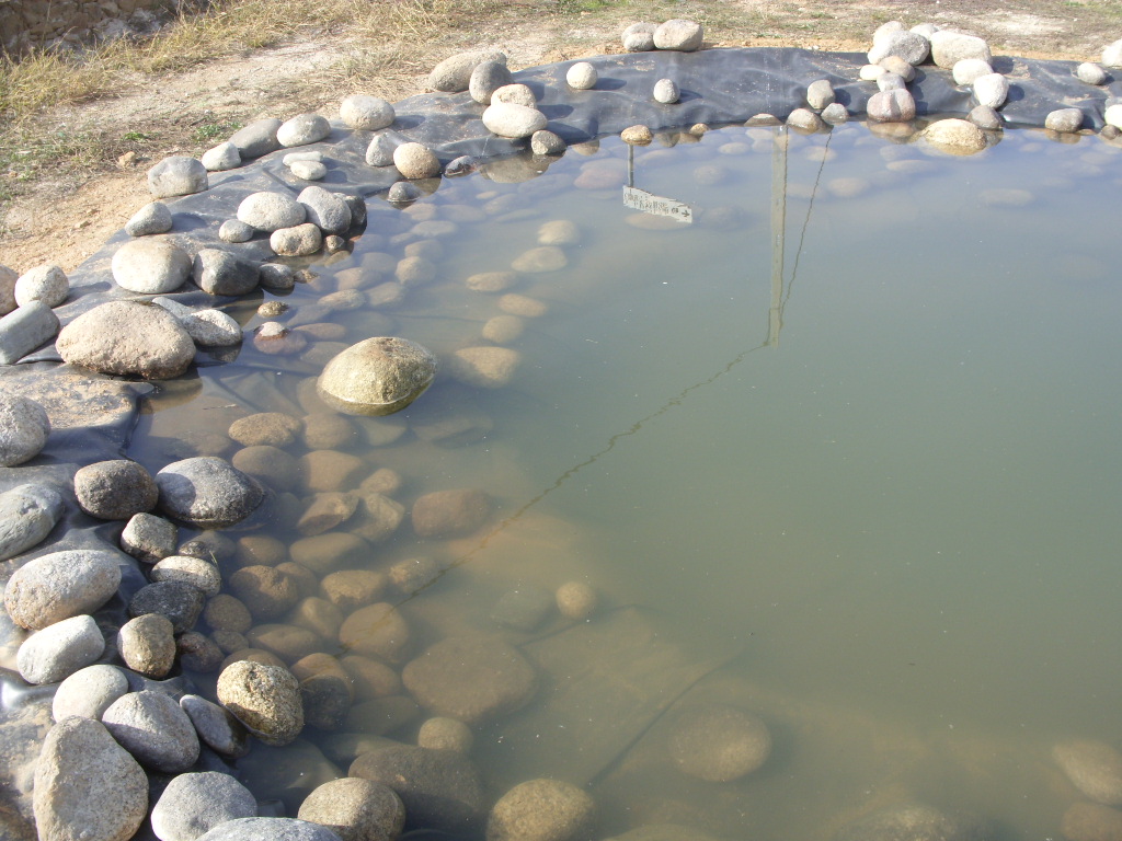 Jardim Autóctone: Construção de um charco/lago