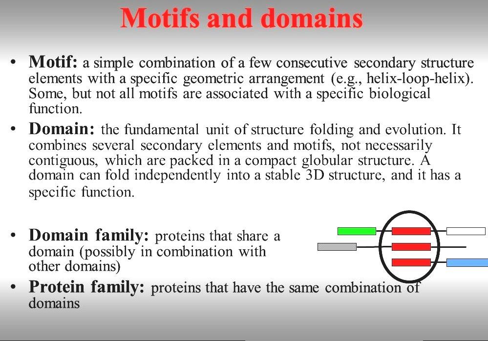 Protein Domain - Motifs And Domains