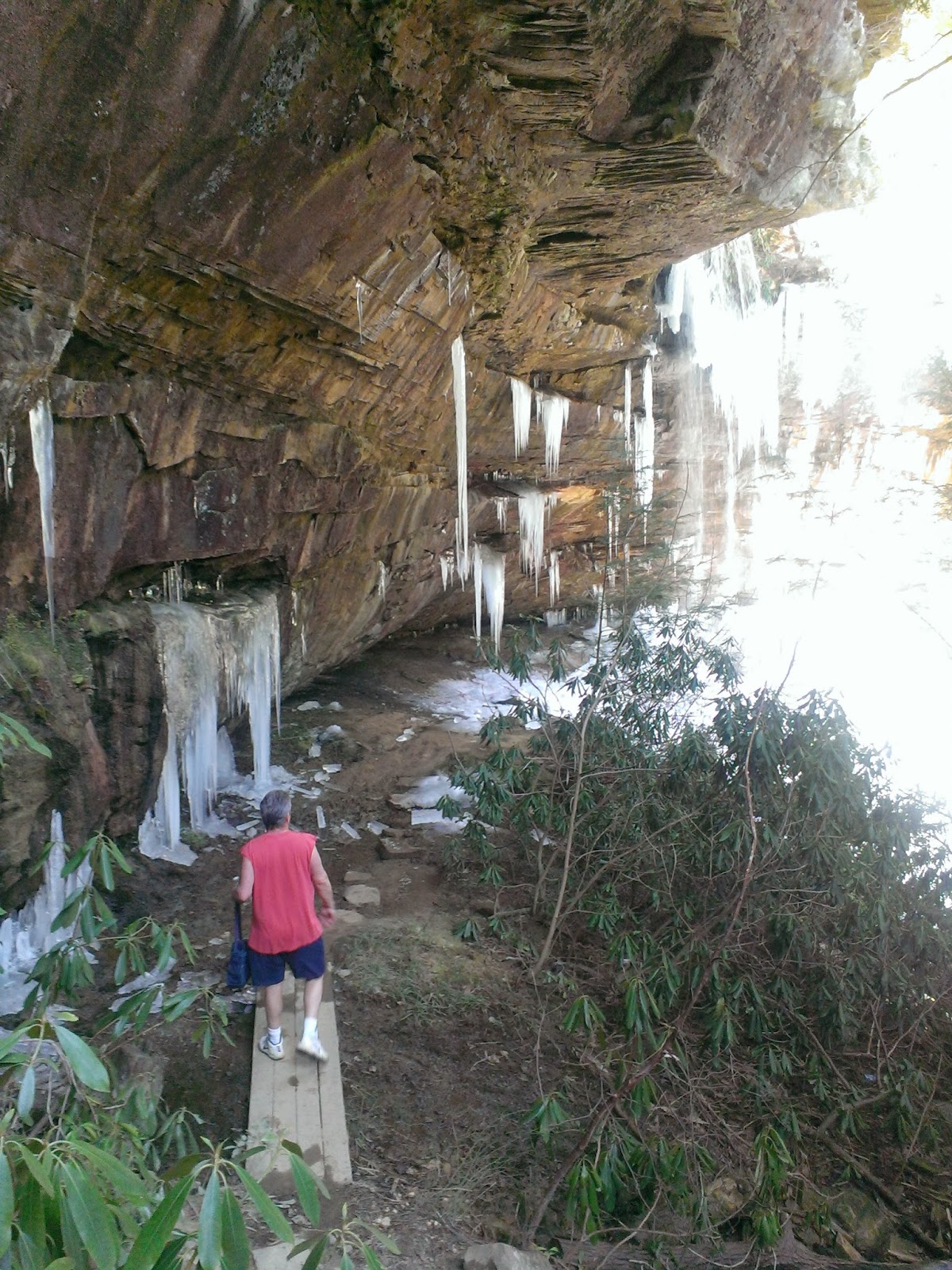 TRAVELING on a BUDGET : Northrup Falls located at Colditz Cove State ...