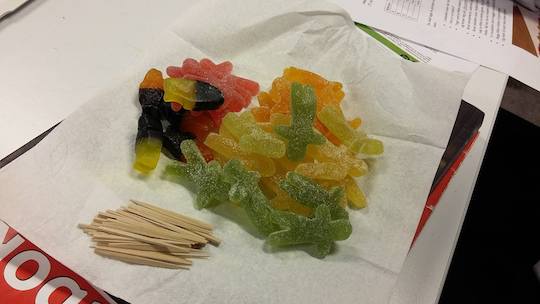 Naturfagblogg : Seigmenn