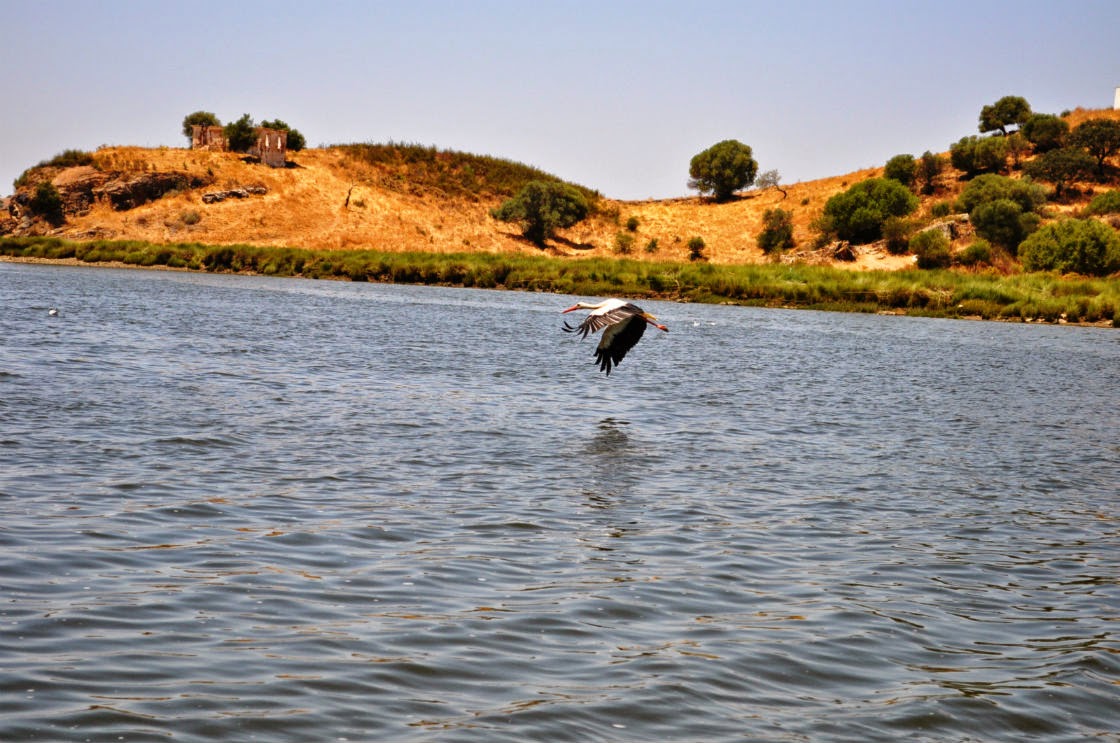 Reserva Natural do Sapal de Castro Marim e VRSA de parabéns