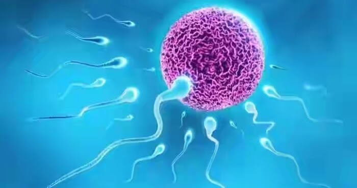 A MUST READ – Top Ways To Know If A Man’s Sp3rm Is Rich - Mhaxiloaded