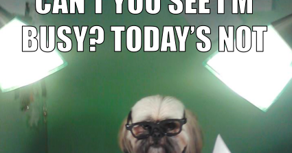 Lean Memes: Hey Boy, Do You Need to Go (to Gemba)?