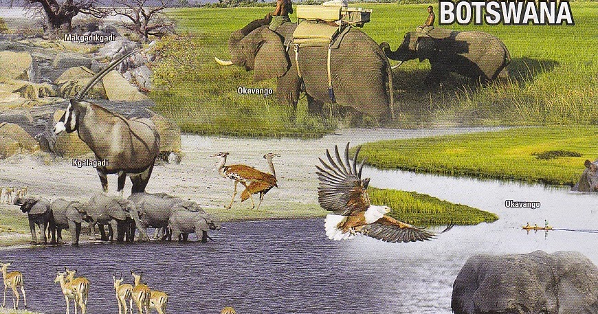 My UNESCO World Heritage Postcards: Botswana - Okavango Delta