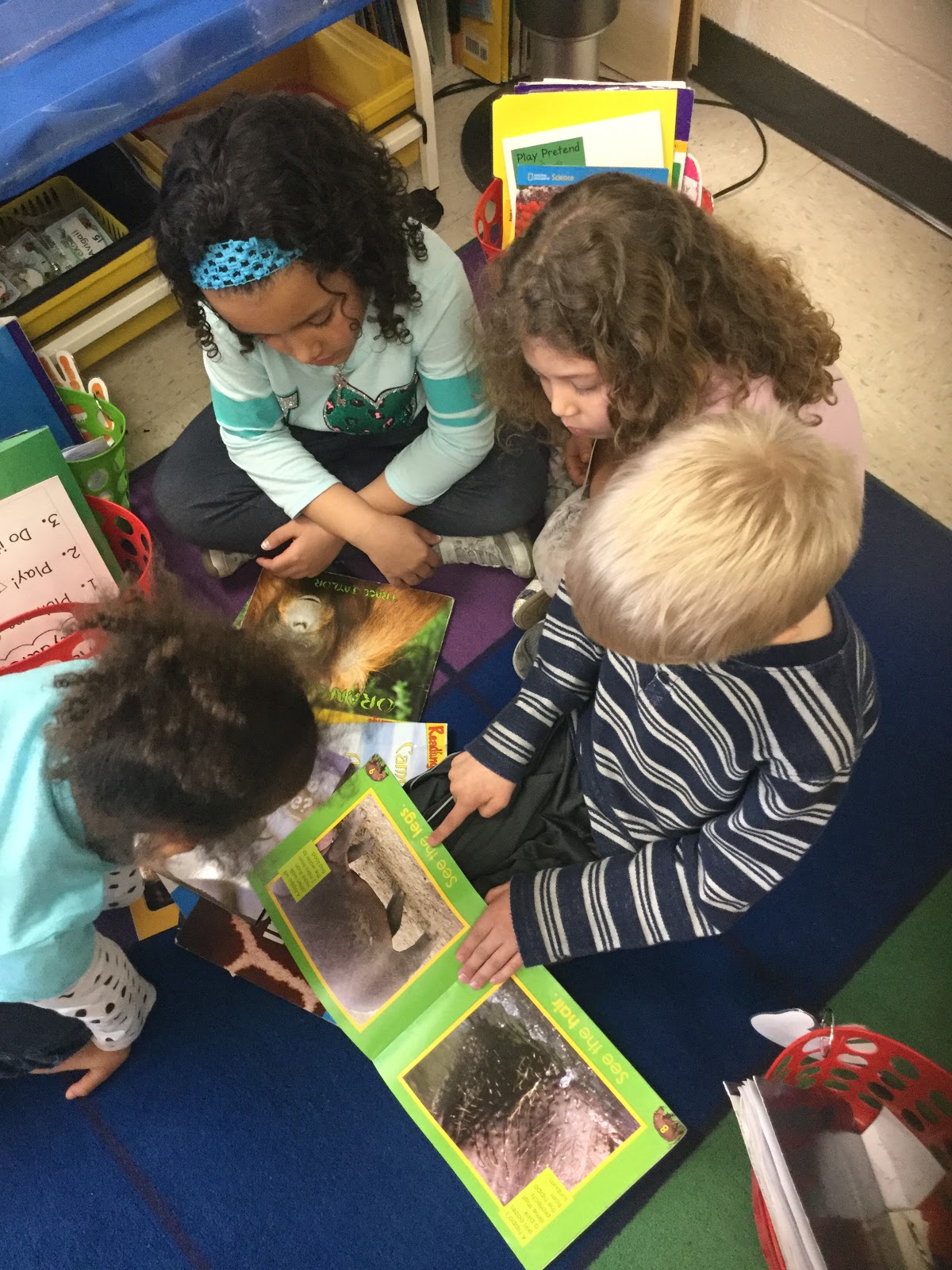 Mrs. Kitson's Kindergarten Classroom : Reading Clubs!!