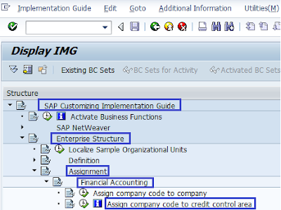 SAP FICO Central: Assign Company Code to Credit Control Area in SAP