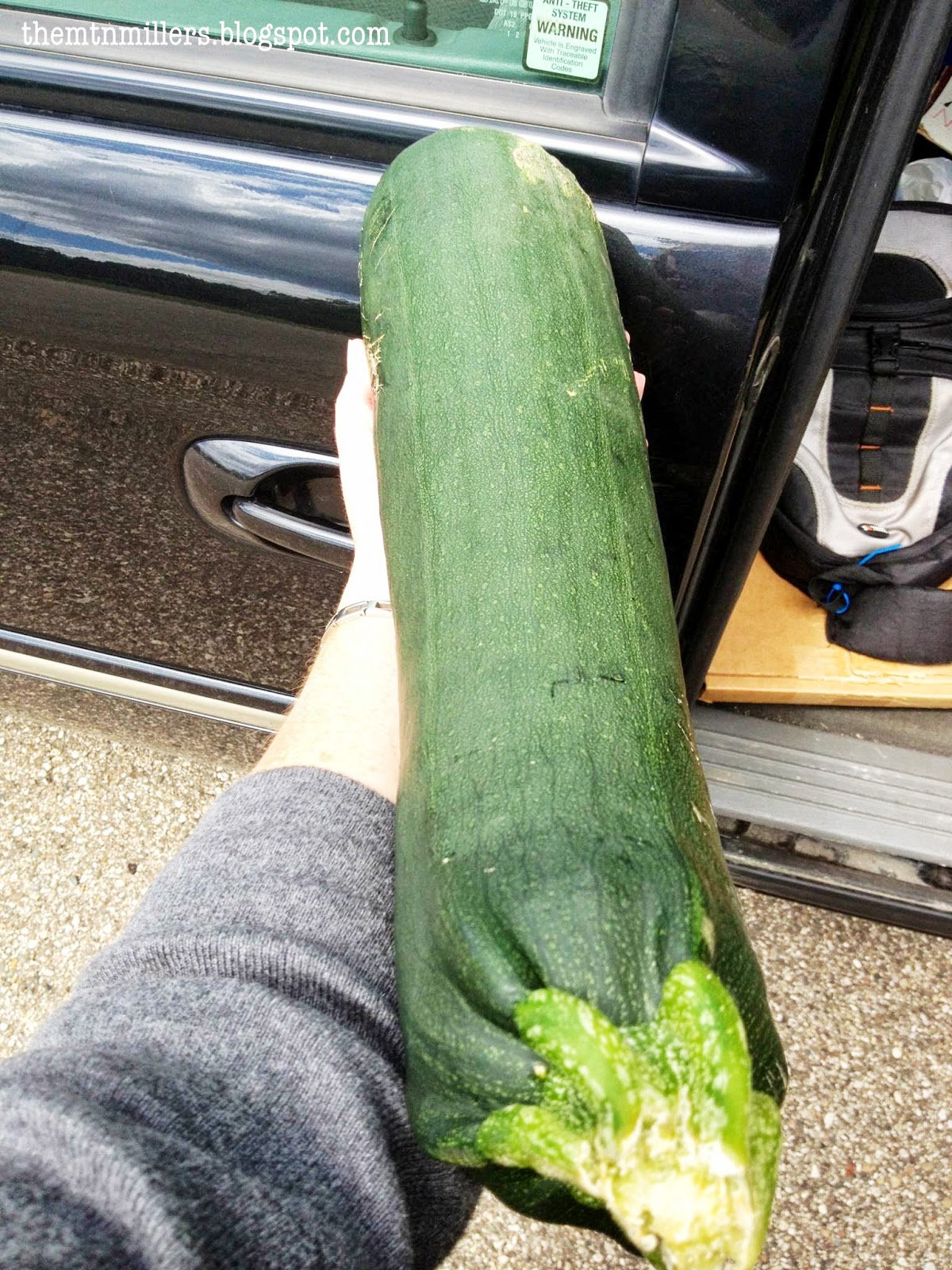 The Mountain Millers: Snozzcumbers