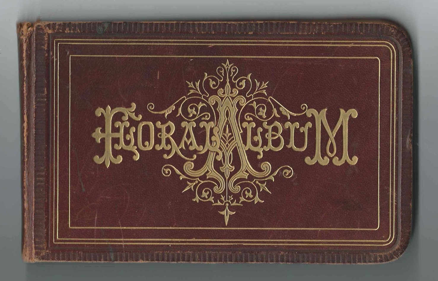 Heirlooms Reunited: 1878-1880s Autograph Album of Flora Elizabeth Scott ...