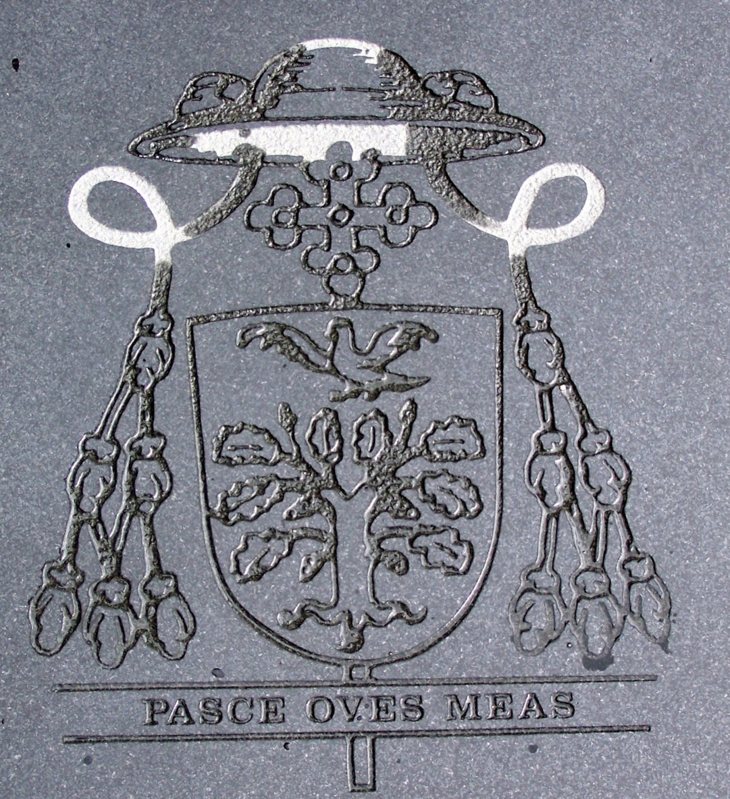 Irish Heraldry: Derry Ecclesiastical Heraldry - Bishop Edward Daly