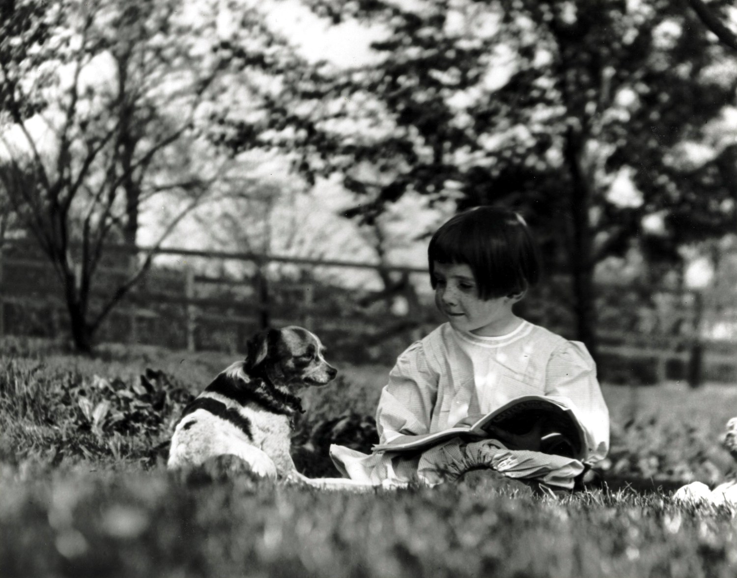 BirdLady - Voyages en é'vol'ution: [Portrait] Rachel Carson : mère de l ...