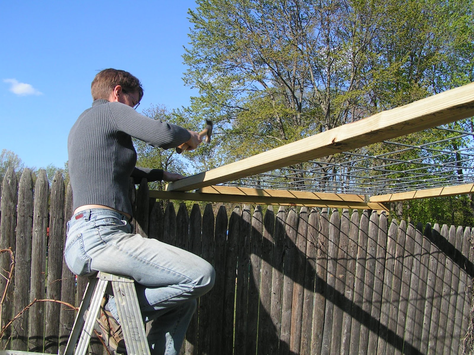 Blue Viola Farm: The spring of fruit