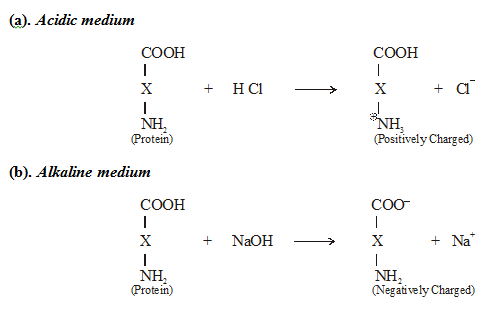 Origin of Charge on Colloidal Particles │Chemistry Desk