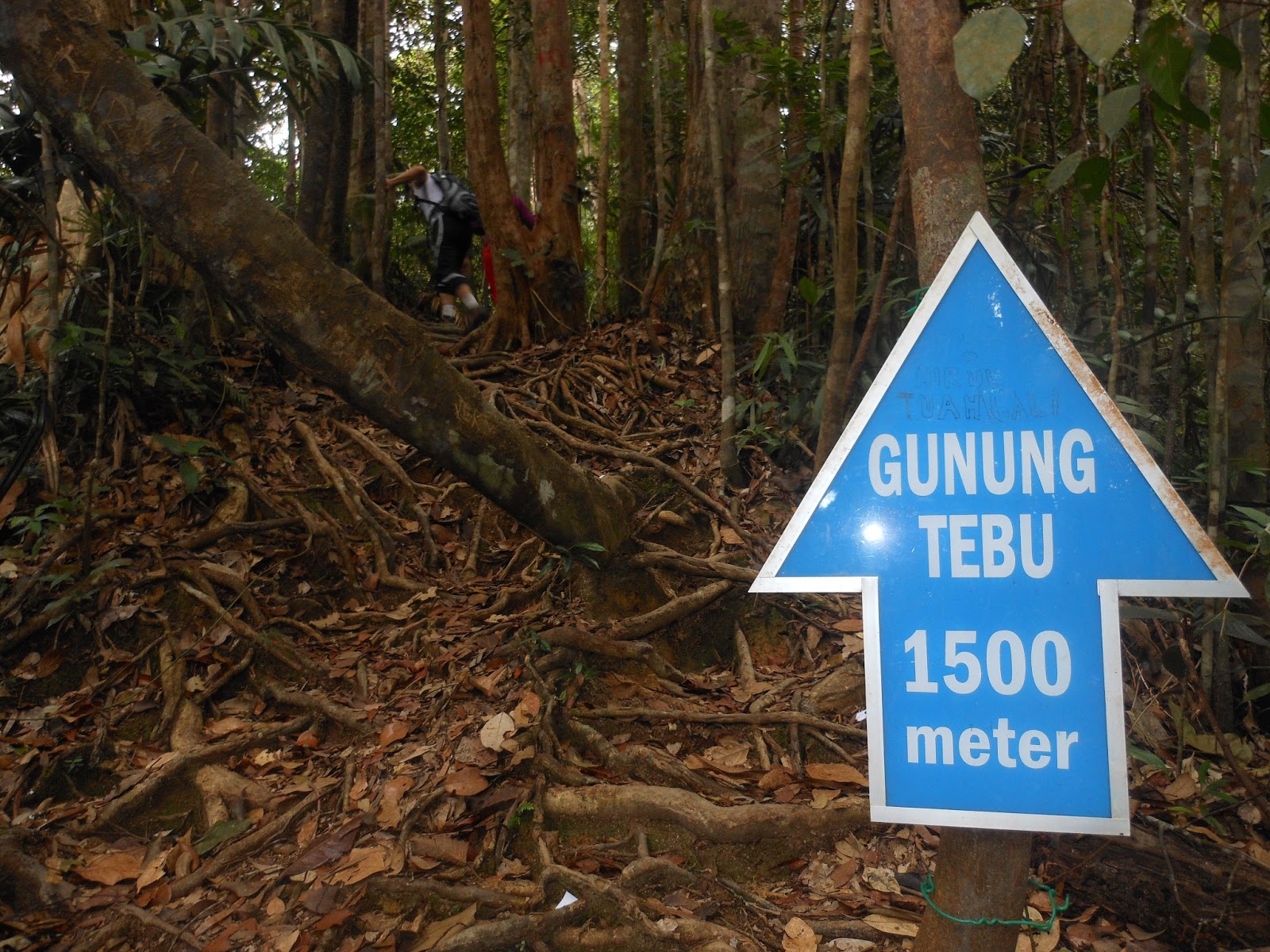 KEMBARA ALAM AADK: Pendakian Gunung Tebu, Besut, Terengganu