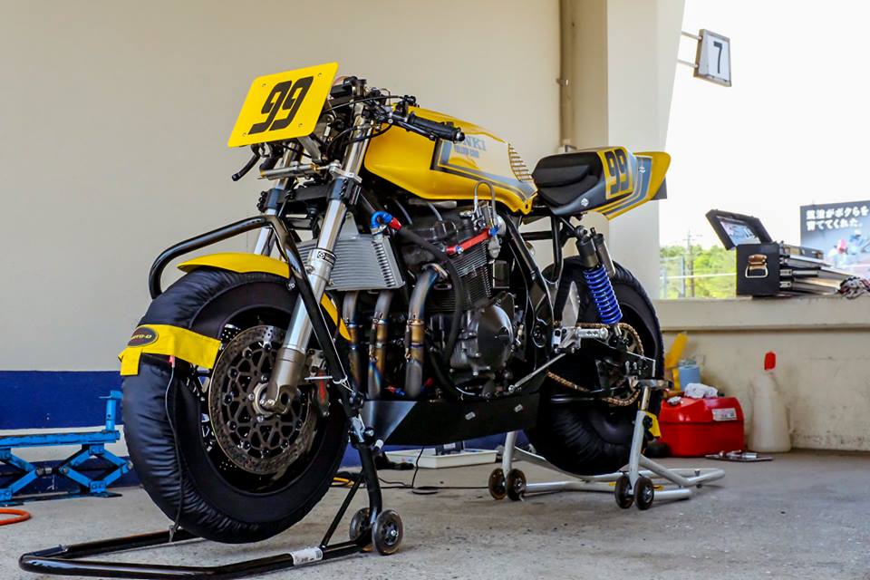 "Honki" / Yellow Corn