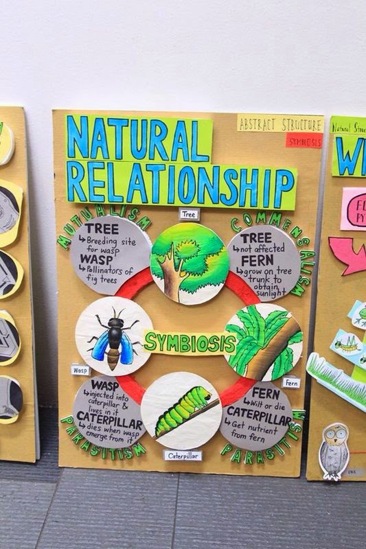 Lee Ern Hui Portfolio FNBE 0414: PROJECT 1 : Representing Nature - The ...