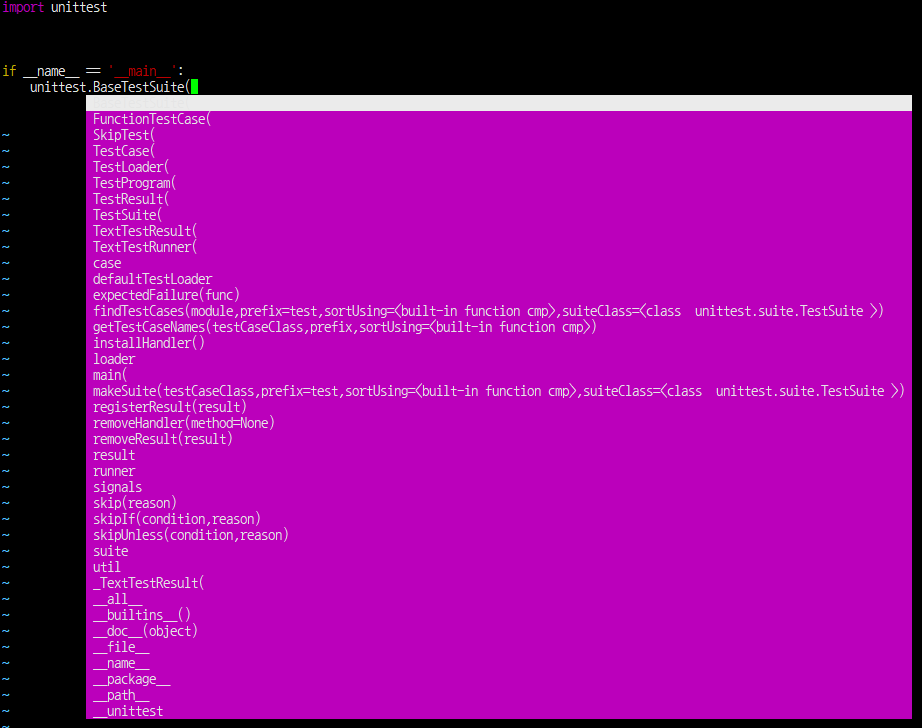 vim에서 python ide처럼 쓰기