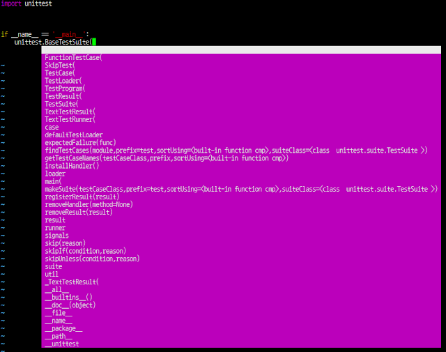 vim에서 python ide처럼 쓰기