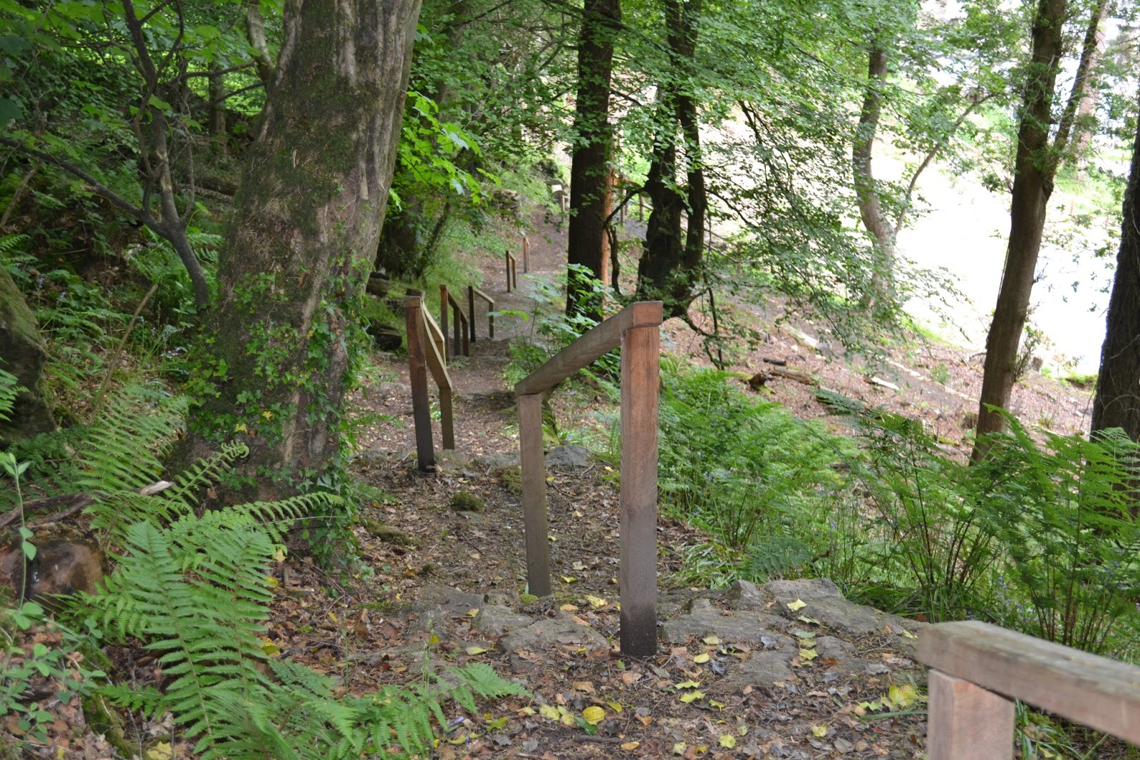 Exploring North Wales: Llanbedrog to the Warren - Wales Coast Path ...