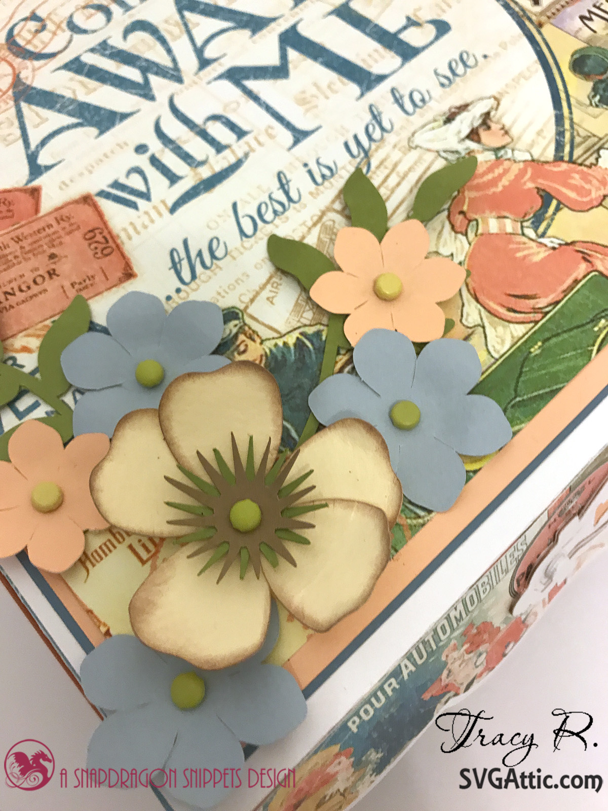 SVG Attic Blog: Memory Box with Tracy