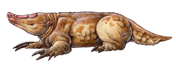 Gabriel Lio - Ilustraciones