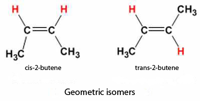Biomedicine blog: 2.5. The carbon atom