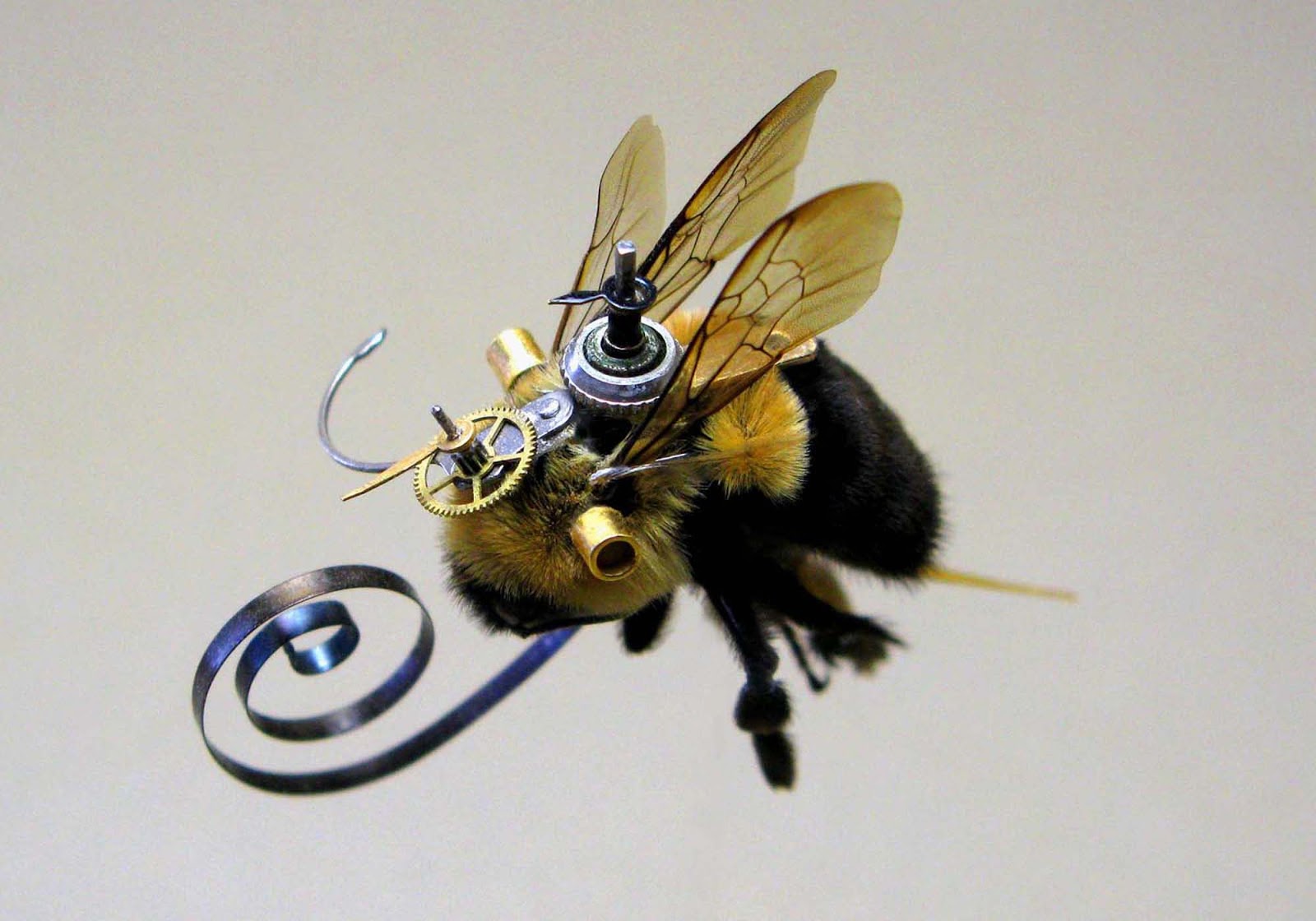 mechanical insect art by Mike Libby ~ ideas arts and crafts projects