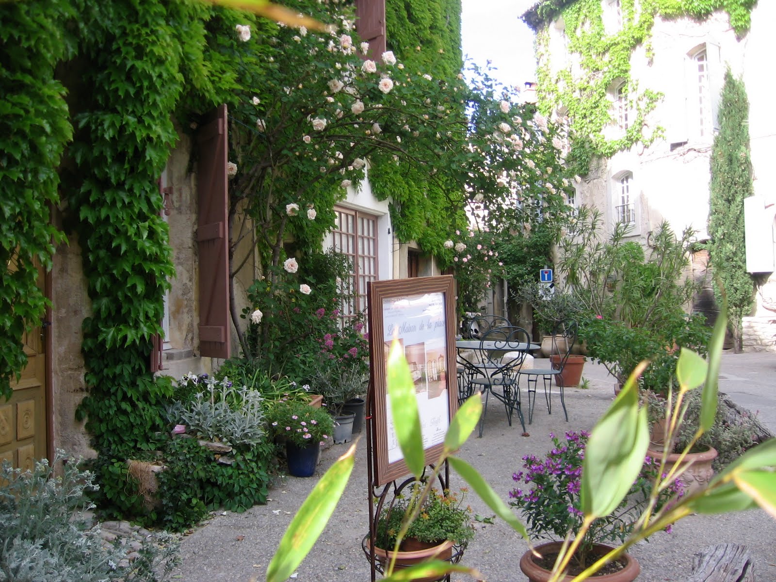 Piękna Francja: Prowansja - kraina lawendy