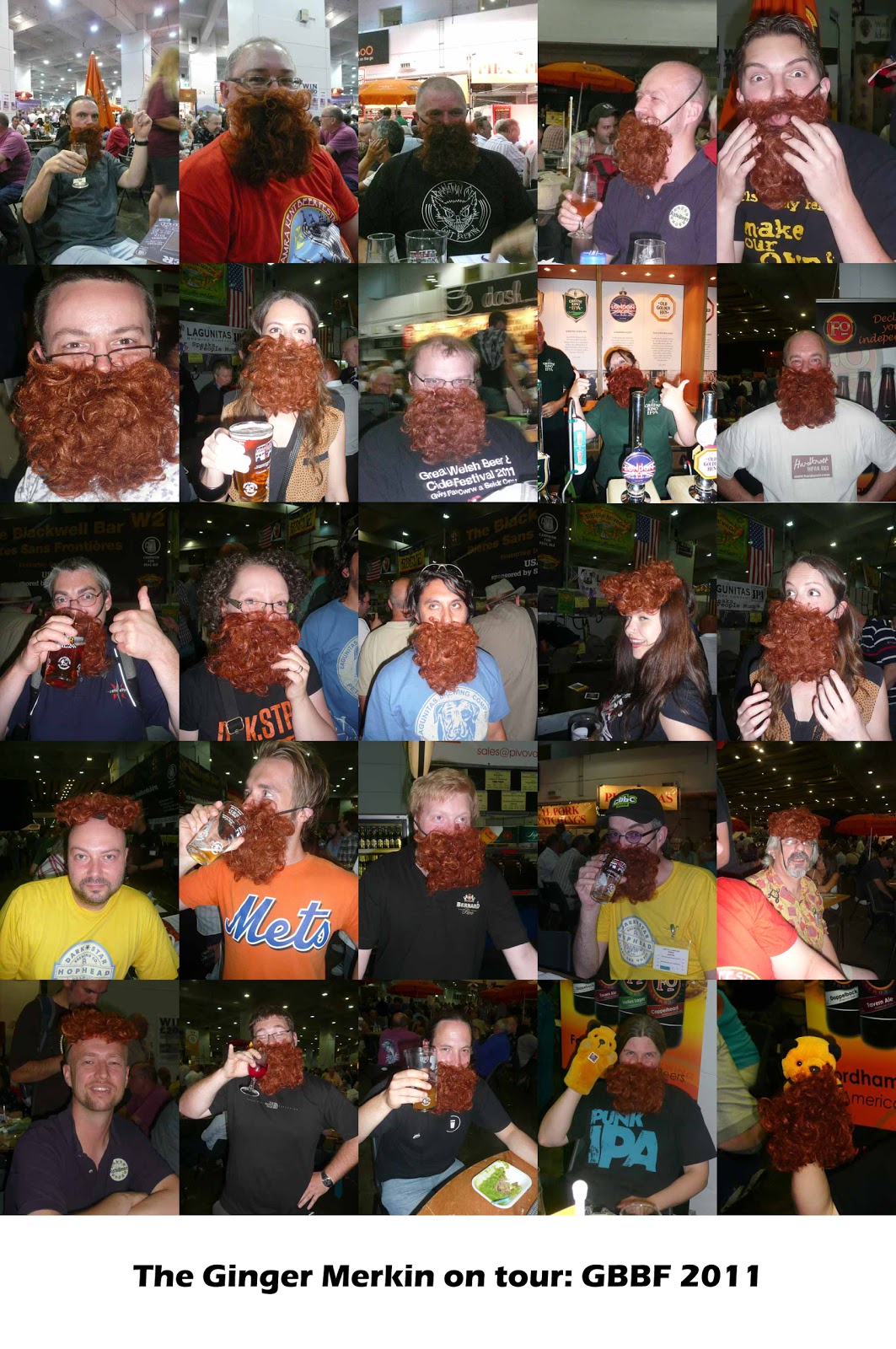 Reluctant Scooper: The things you can do with a ginger merkin