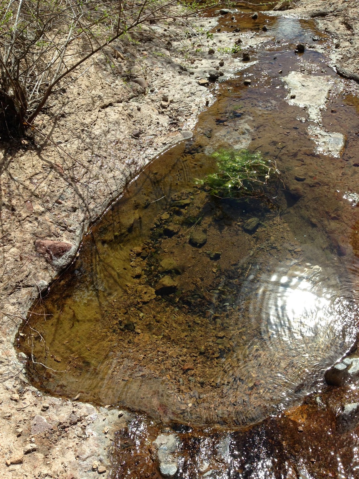 Southern New Mexico Explorer: Gila Wilderness-Lake Roberts Slot Canyons ...