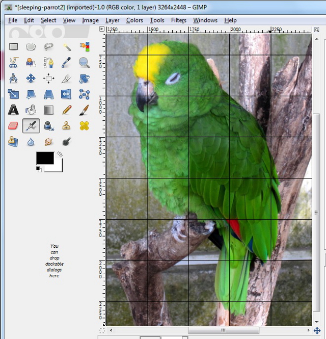 How to Draw from a Photo Using the Grid Method