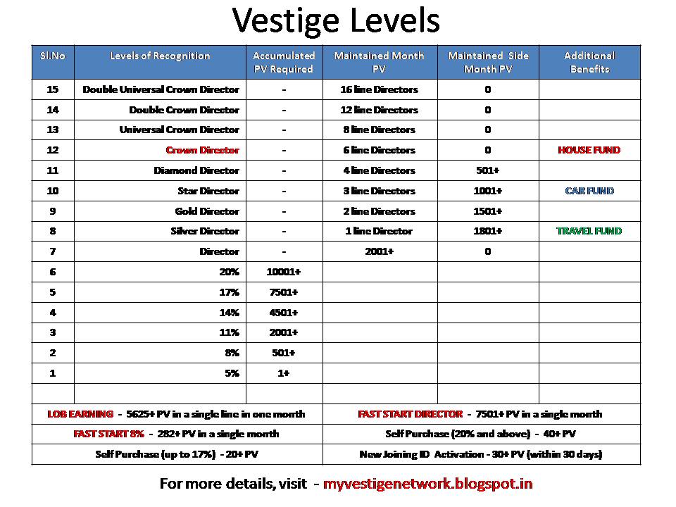 Vestige Digital Network: INCOME GROWTH PLAN