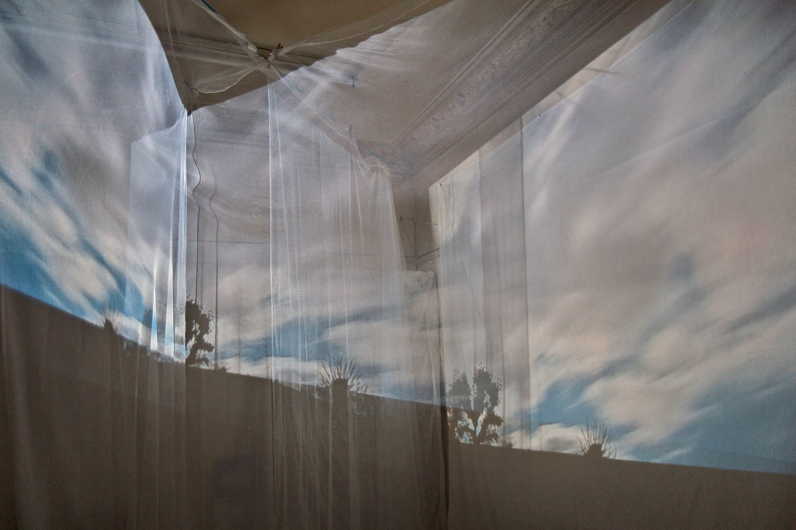 Sasha Bowles PAPER NAUTILUS: Artist Mark Templer