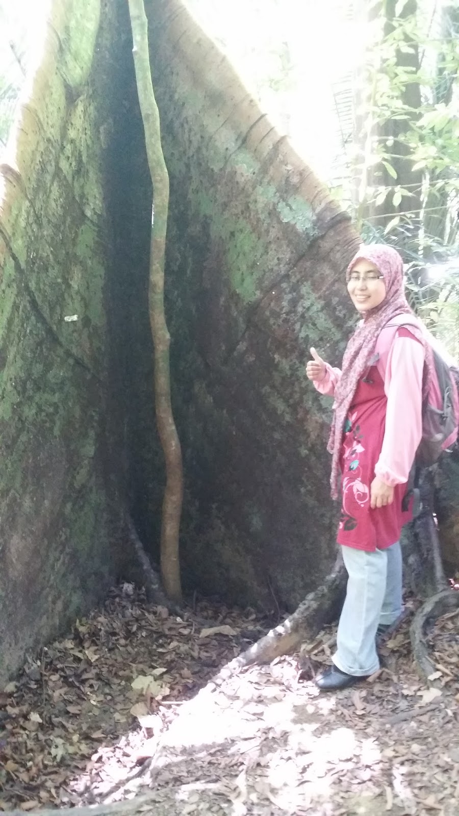 Real Life Is Real: Kisah Benar berCanopy Walk di HUTAN FRIM