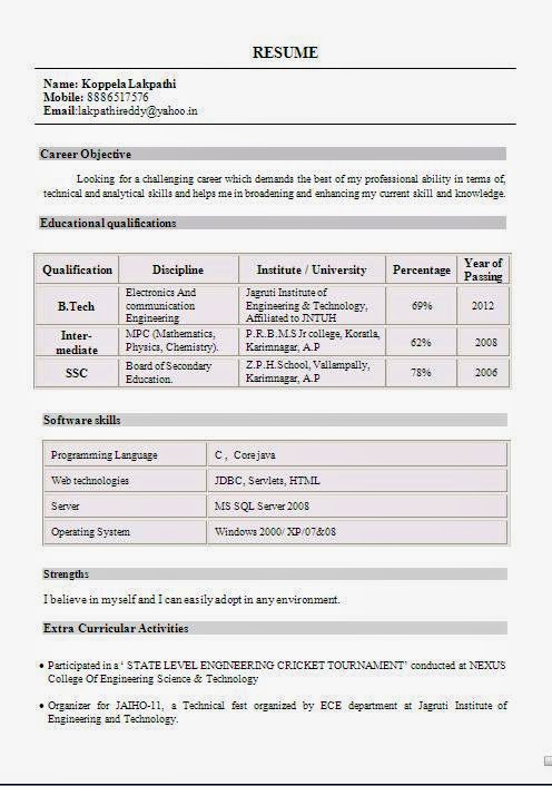 bio data form free download